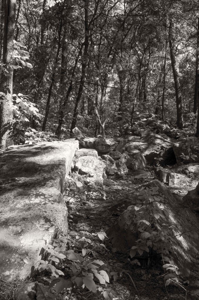 Battle of Dug Gap, May 8th, 1864 – War Was Here